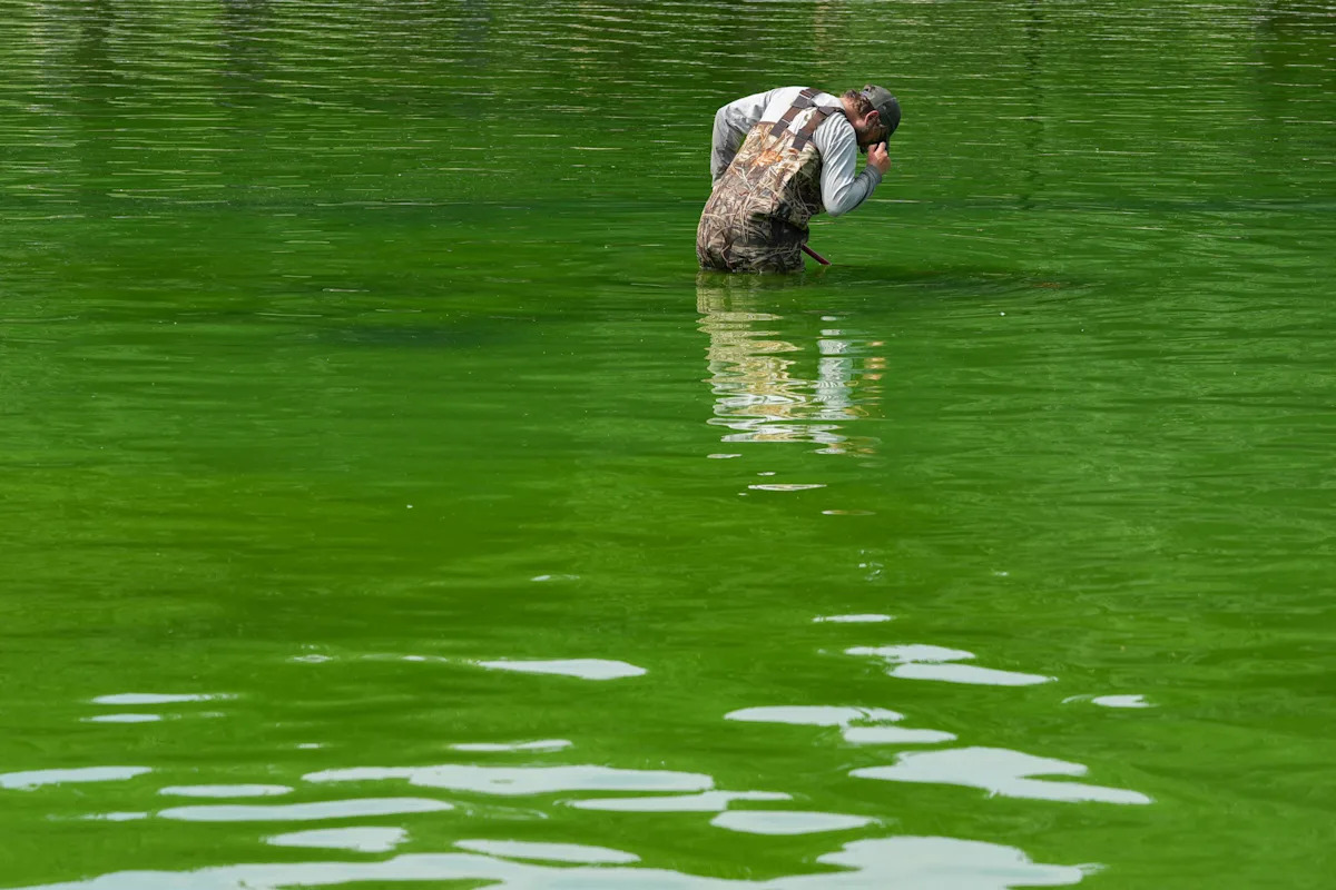 Was hydrogen peroxide dumped into the Lincoln Memorial Reflecting Pool ...